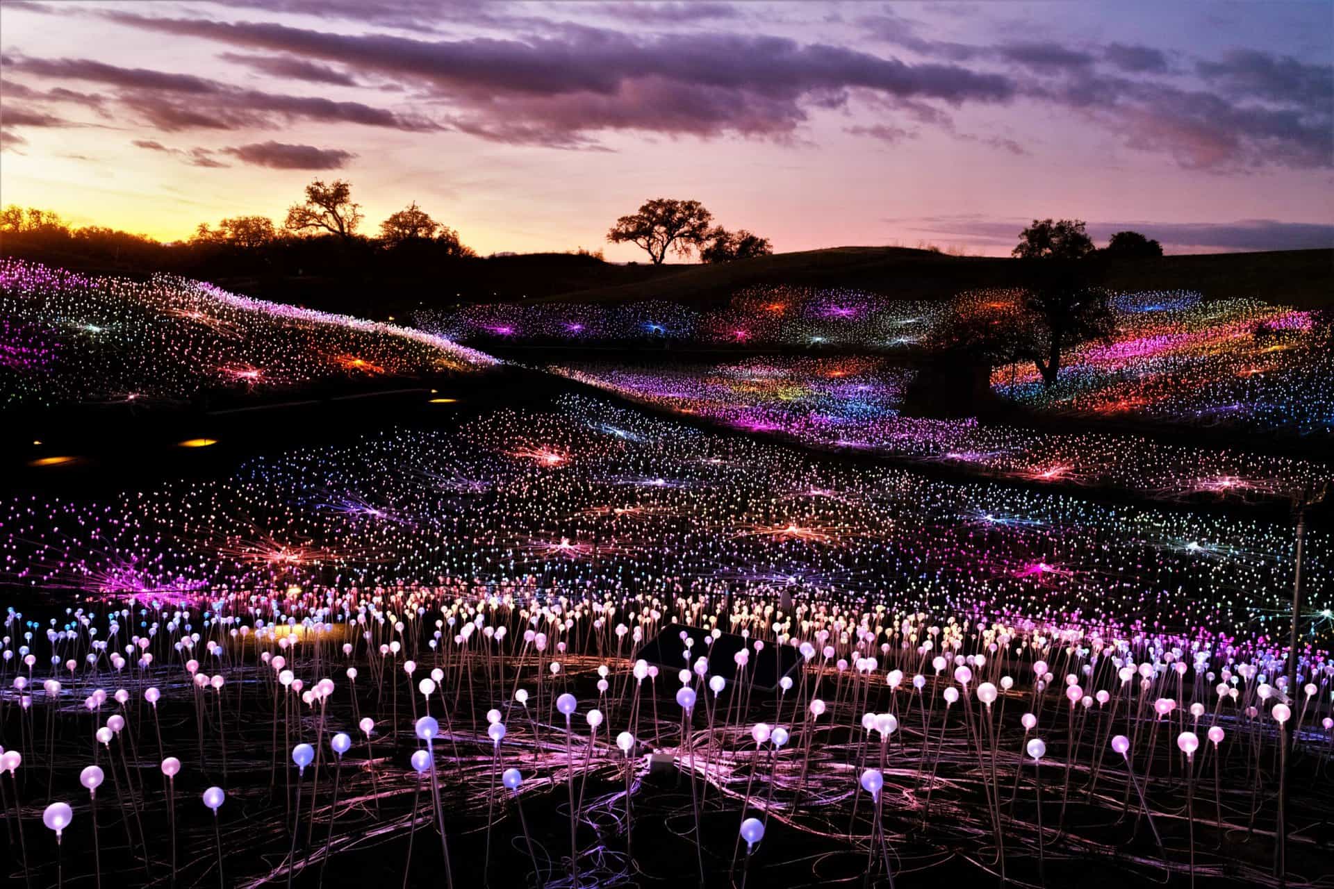 Sensorio Gives Back - Studios on the Park