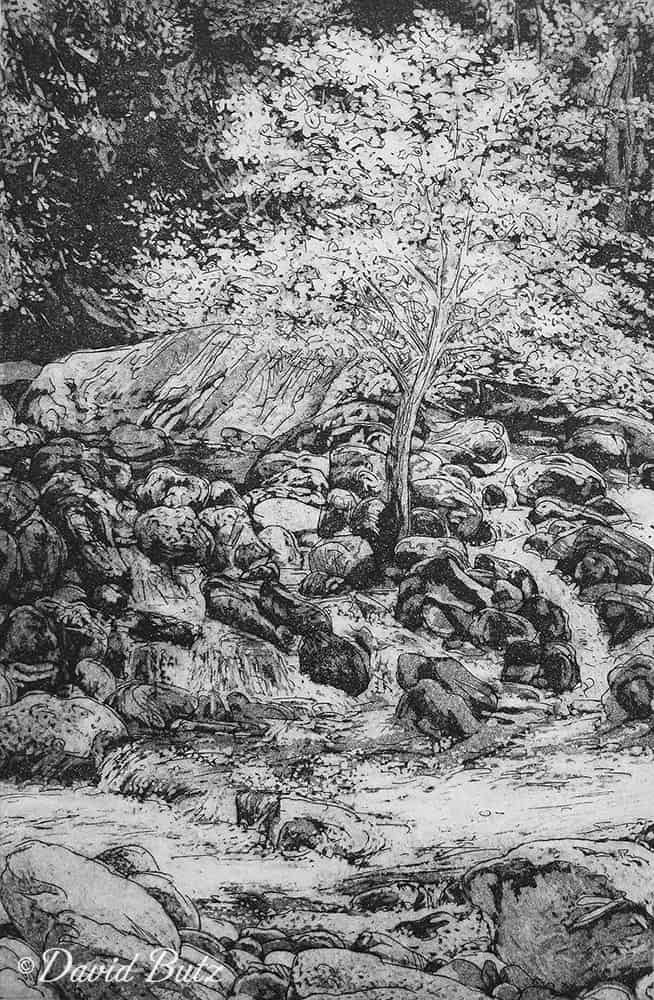 Etching Print Demo with David Butz - Studios on the Park